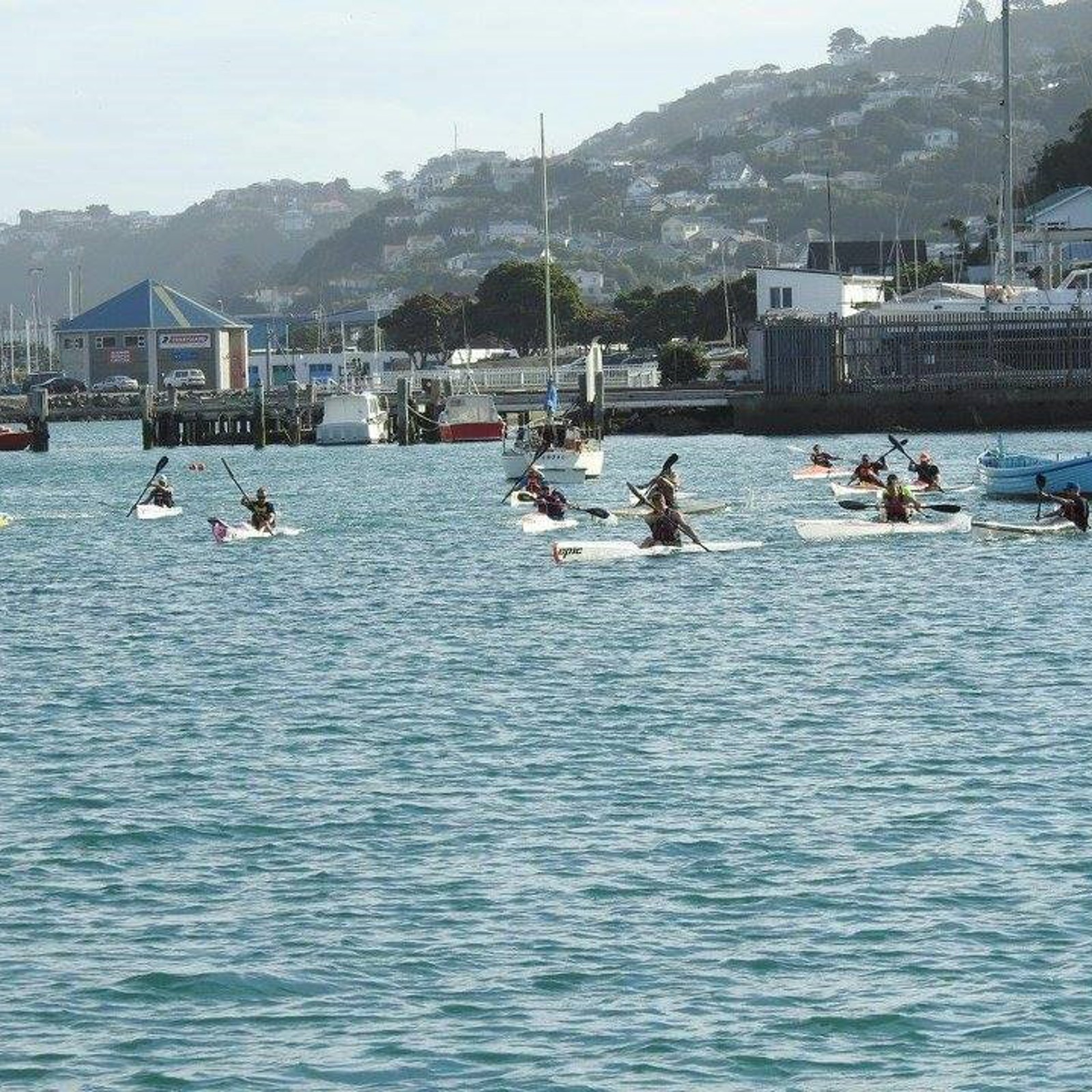 Tuesday Races | Kupe Canoe Club